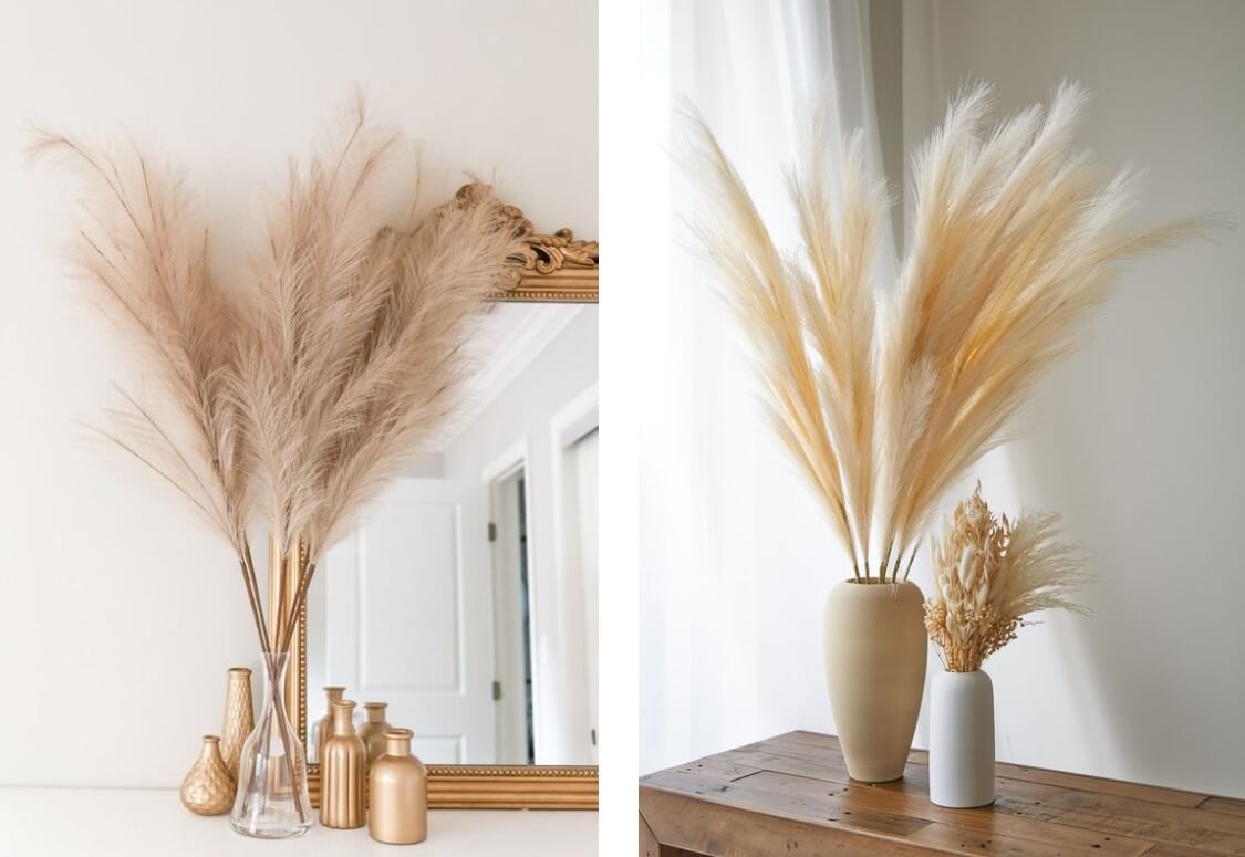 Arranjos com plantas secas, inspirações e dicas