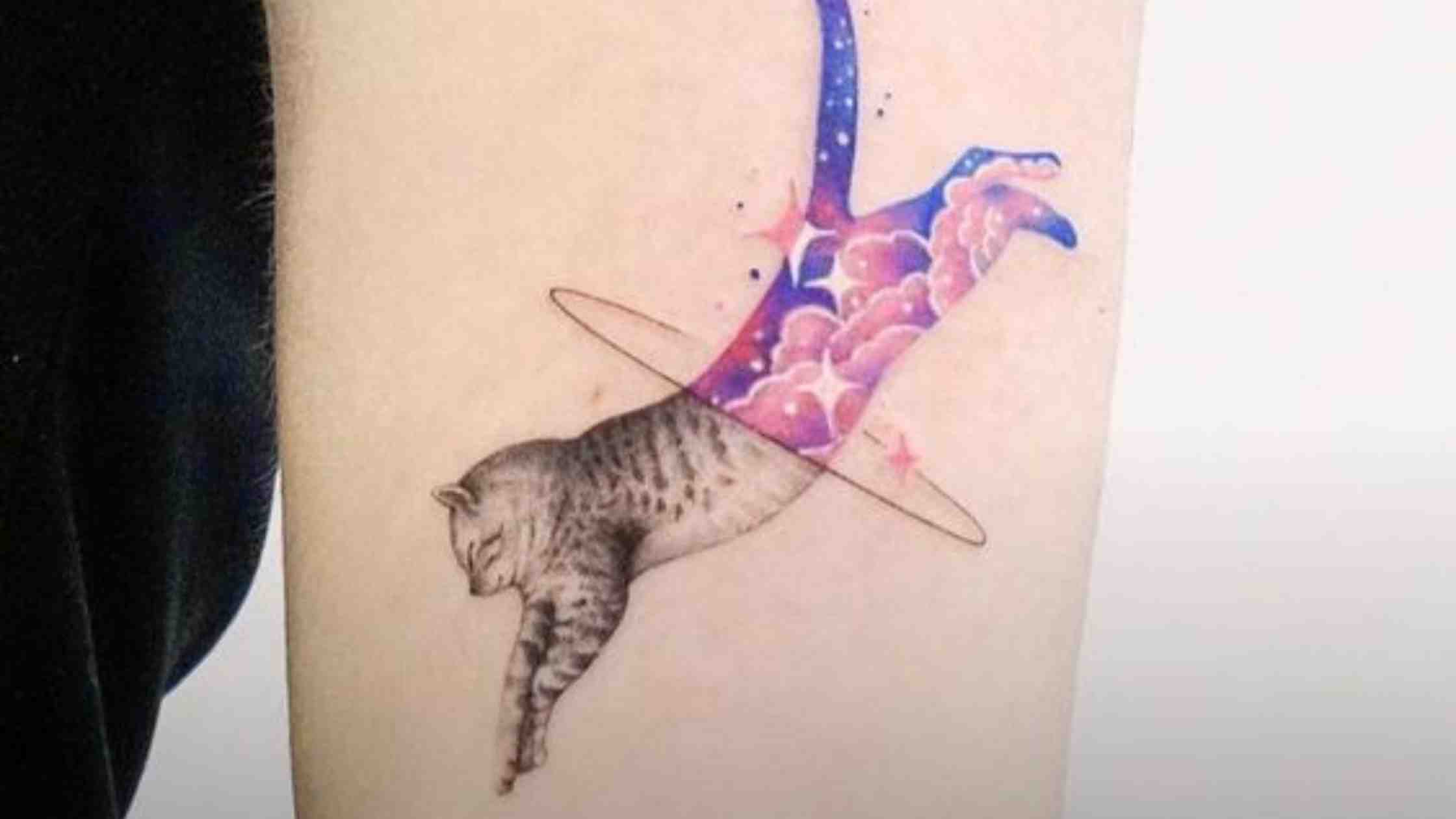 Gato Tatuado Em Aquarela